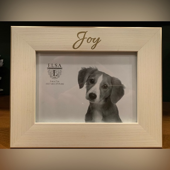 ELSA | Accents | Joy Frame 5x7 Photo Opening New Never Used Elsa L ...